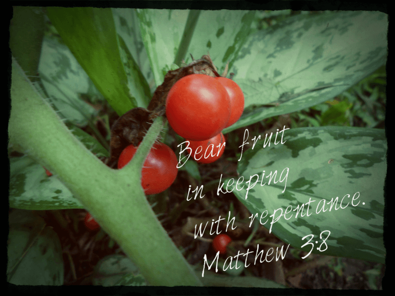 The Meaning of Matthew 3:8 (Repentance and good acts) - Christian Faith ...
