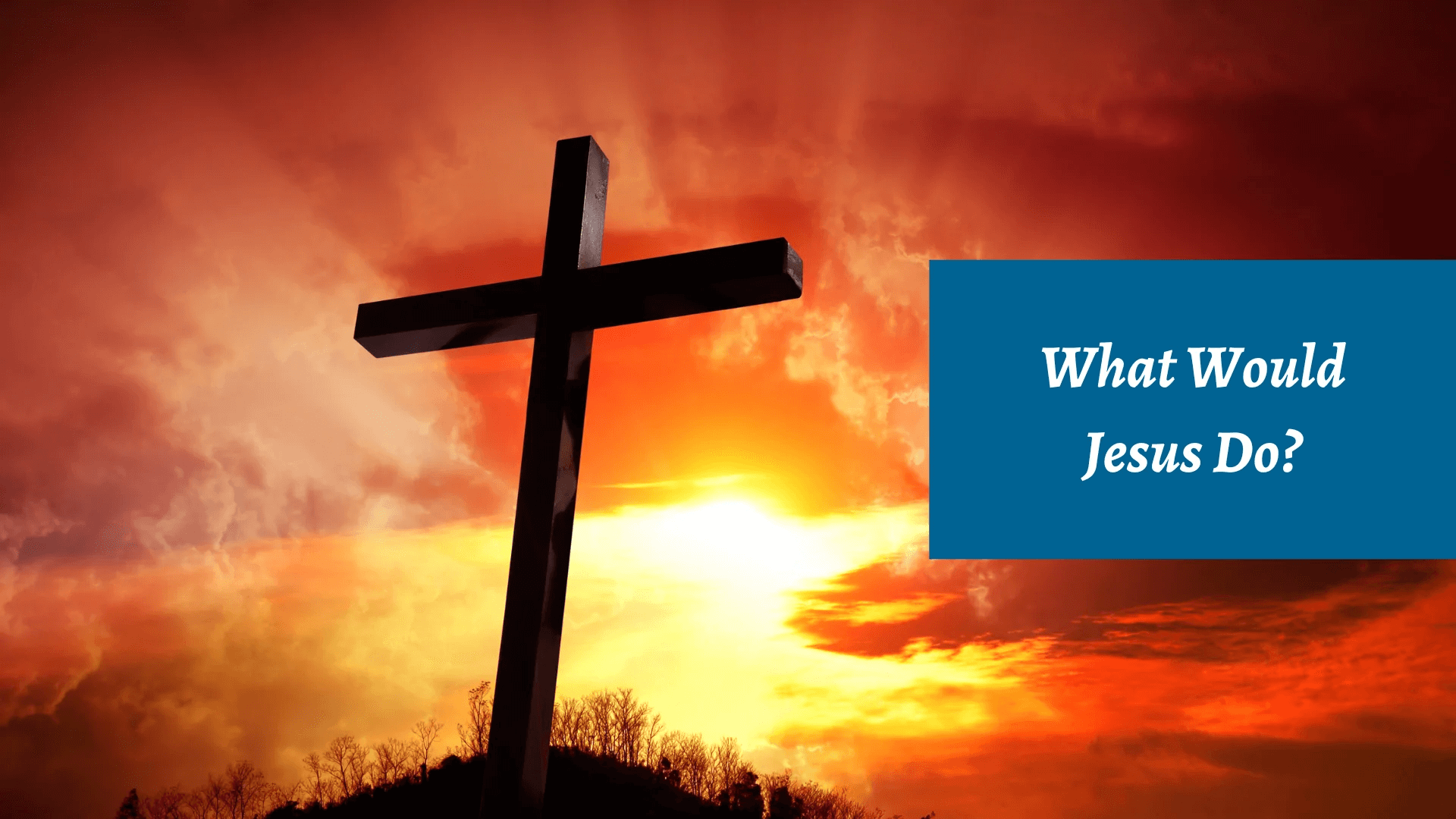 What Would Jesus Do Christian Faith Guide