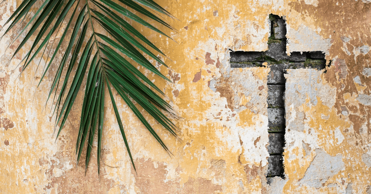 What happened to Jesus on Palm Sunday? - Christian Faith Guide