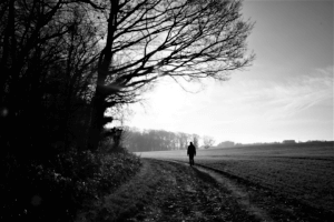 Did Nadab and Abihu go to heaven? - Christian Faith Guide