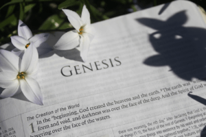 What are the works of the devil that Jesus came to destroy? - Christian ...