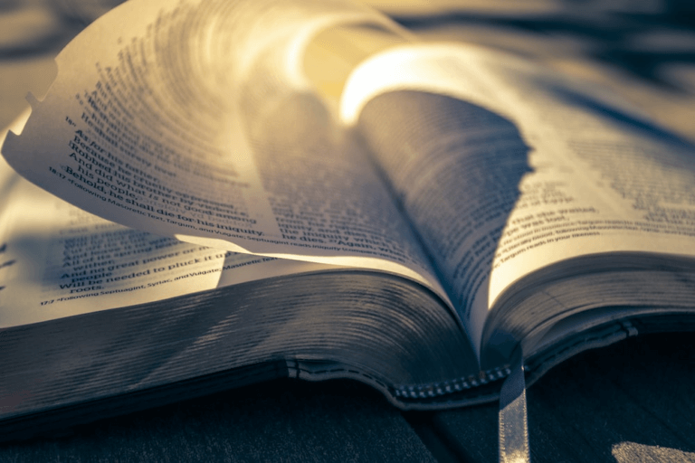 What Does a Dragonfly Symbolize In The Bible? - Christian Faith Guide