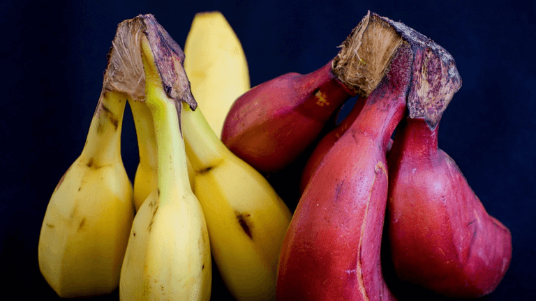 What Do Bananas Mean in The Bible? - Christian Faith Guide