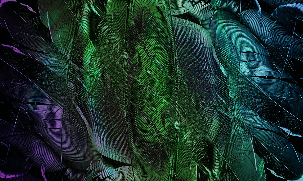 What Do Feathers Symbolize In The Bible? - Christian Faith Guide