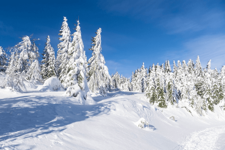 What Does Snow Symbolize in The Bible? - Christian Faith Guide