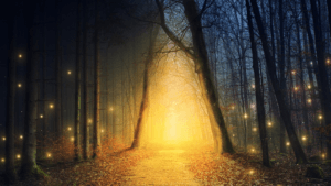 What does light symbolize in the Bible? - Christian Faith Guide