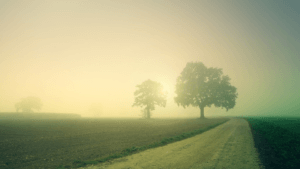 What does mist symbolize in the bible? - Christian Faith Guide