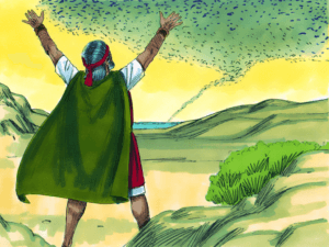 What does locusts symbolize in the Bible? - Christian Faith Guide