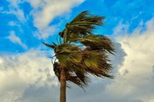 What does Wind symbolize in the Bible? - Christian Faith Guide