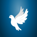 What does the Dove symbolize in the Bible? - Christian Faith Guide