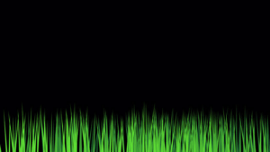 What does grass symbolize in the Bible? - Christian Faith Guide