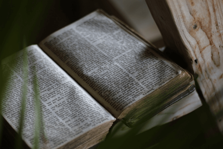 What Does Unicorn Symbolize In The Bible Christian Faith Guide