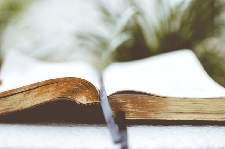 What Does Fish Symbolize In The Bible Christian Faith Guide What Does Fish Symbolize In The Bible Christian Faith Guide