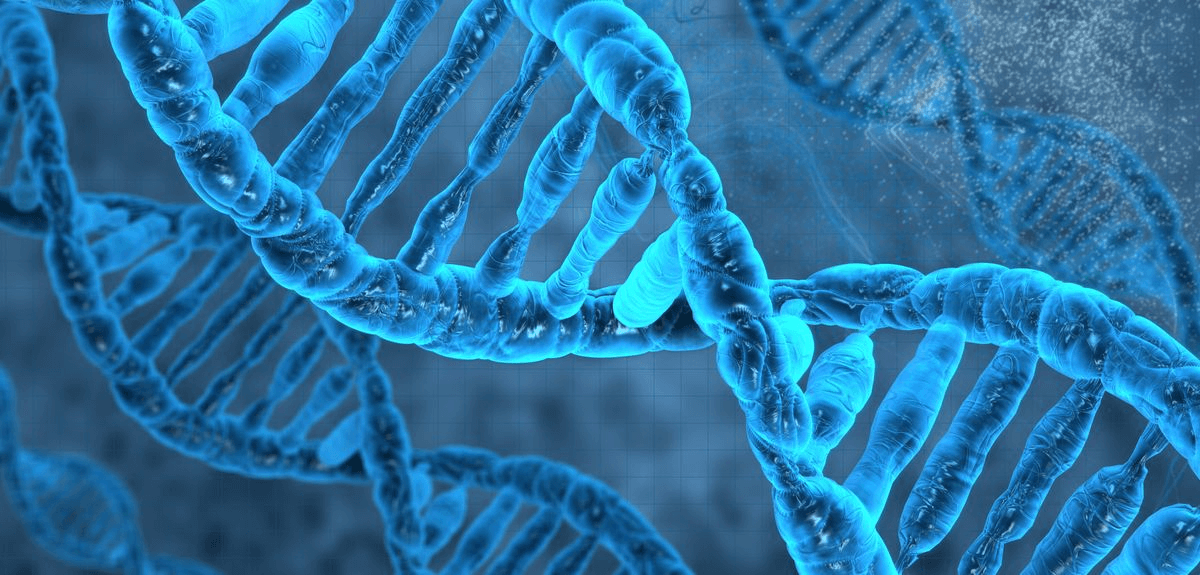 Can DNA Be Traced Back to Adam and Eve? - Christian Faith Guide