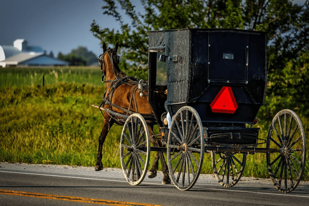 Amish Rules Guide - Christian Faith Guide