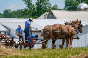 Is Amish a religion? - Christian Faith Guide