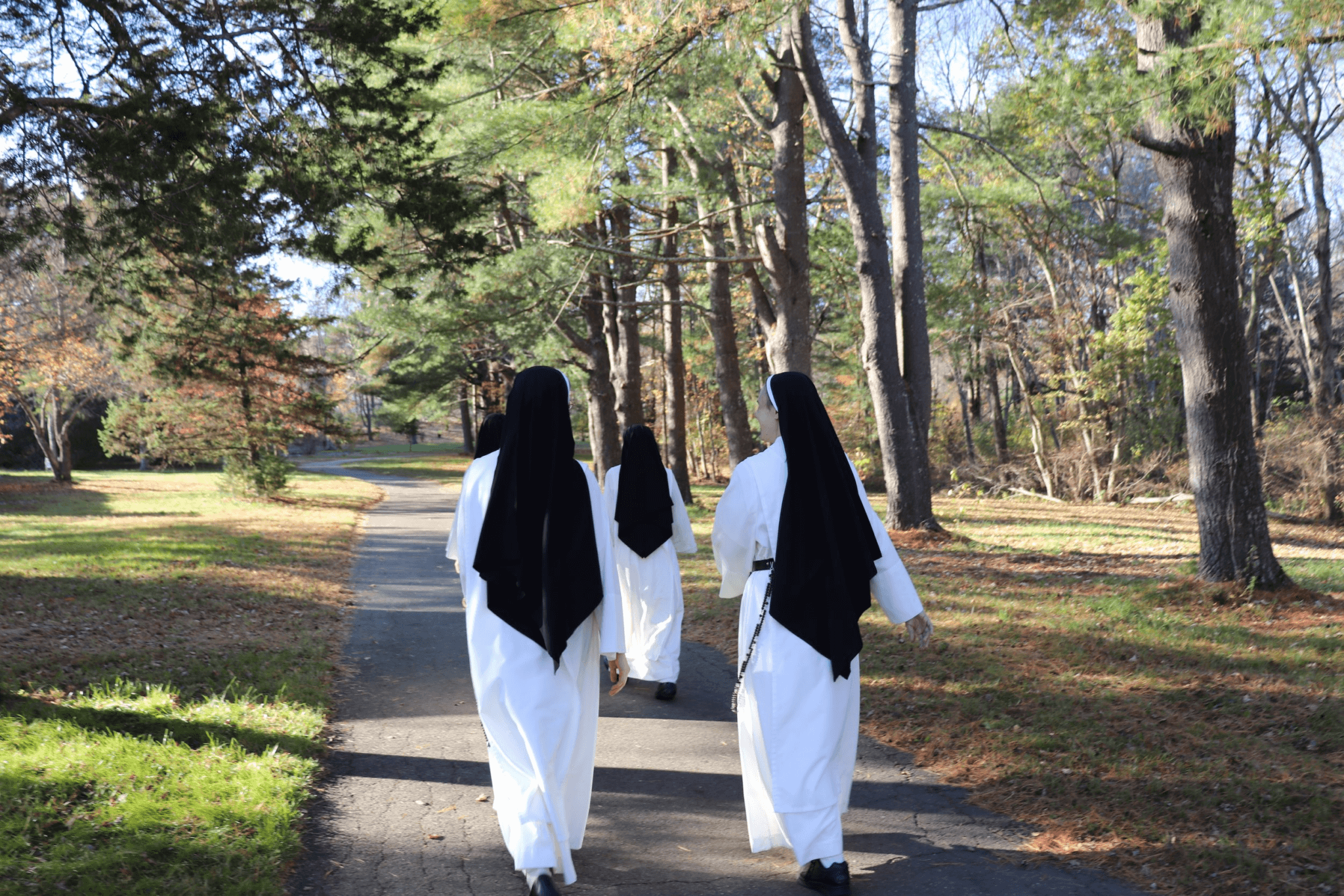 What percent of nuns leave the convent? - Christian Faith Guide