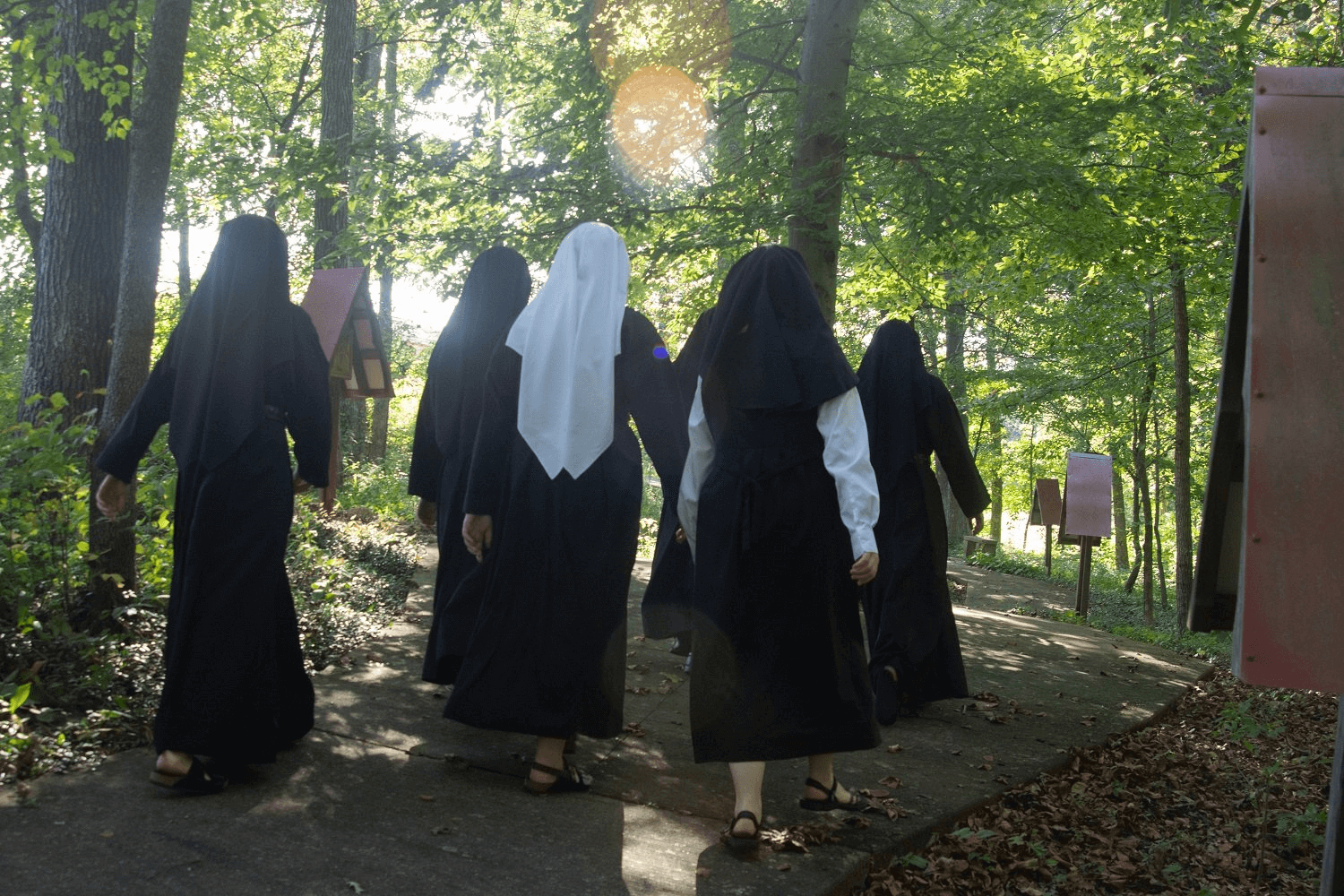 What are nuns in training called? - Christian Faith Guide