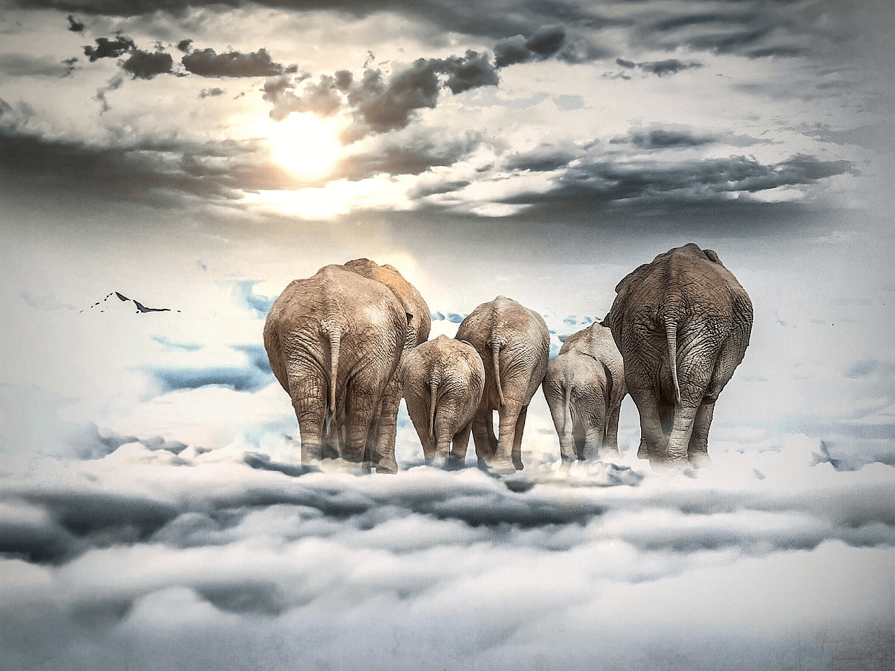 Spiritual Meaning of Elephant in a Dream - Christian Faith Guide