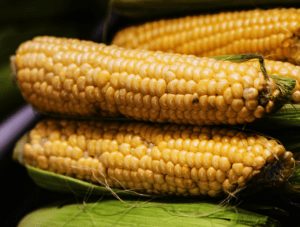Biblical meaning of corn in a dream - Christian Faith Guide