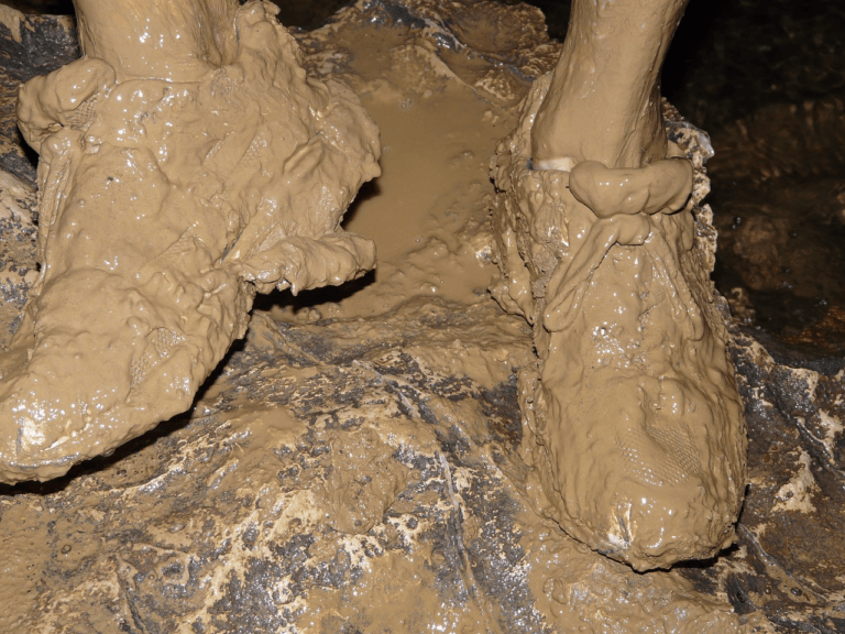 Biblical meaning of mud in a dream - Christian Faith Guide