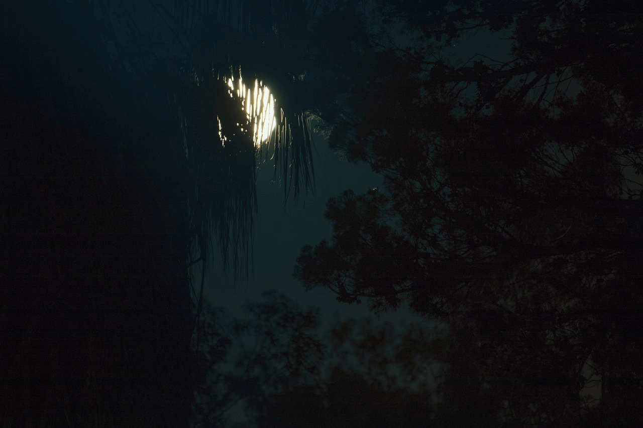 Biblical Meaning of Darkness in a Dream - Christian Faith Guide