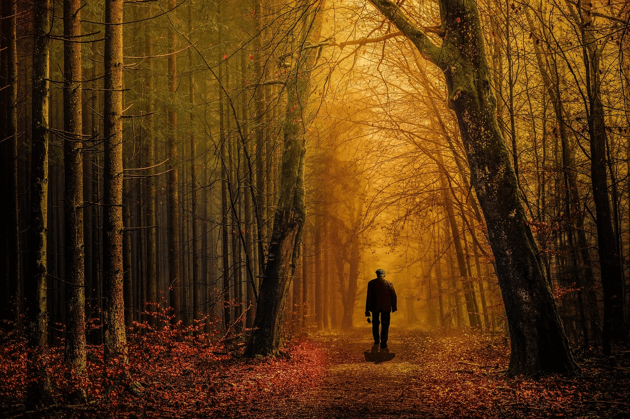 Biblical meaning of walking in a dream - Christian Faith Guide